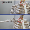 기린정형외과 And 임원장 네이버 블로그